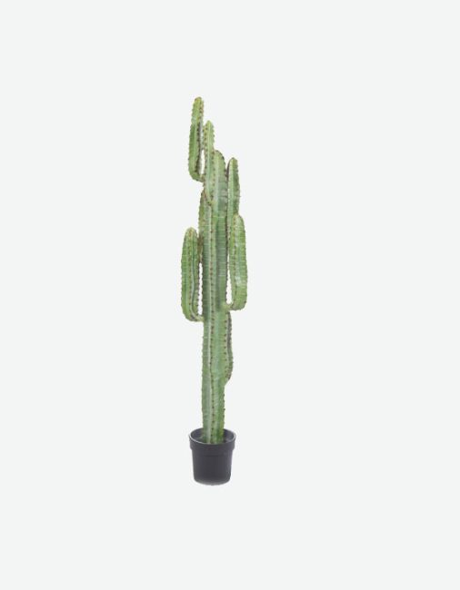 Medium Cactus Artificial Plant in UAE, Al Ain & Abu Dhabi